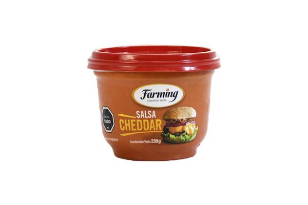 Salsa Cheddar FARMING 230 gr en Tienda Inglesa