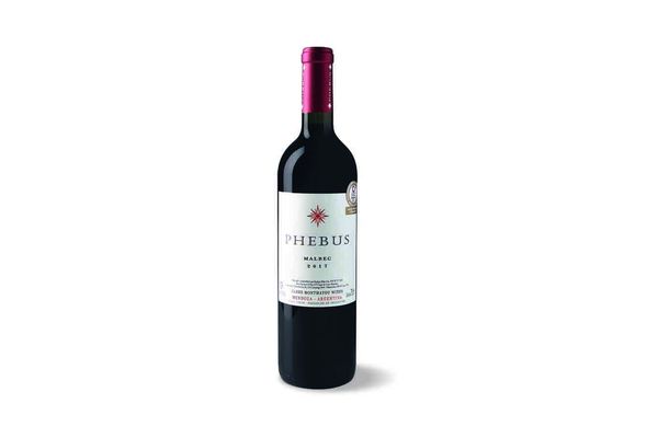 Vino Tinto PHEBUS Malbec 750 ml en Tienda Inglesa
