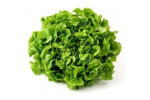 Lechuga Roble Blanca (1 un.) en Tienda Inglesa