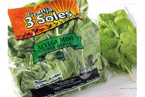 Acelga Mini GRANJA 3 SOLAES Super Tierna 800g en Tienda Inglesa