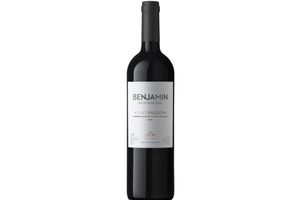 Vino Benjamin NIETO SENETINER Cabernet Merlot Bonarda 750 ml en Tienda ...