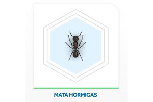 Insecticida Raid Mata Hormigas en Aerosol 390 cc en Tienda Inglesa