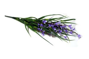 Pasto Largo con Flores en Tienda Inglesa